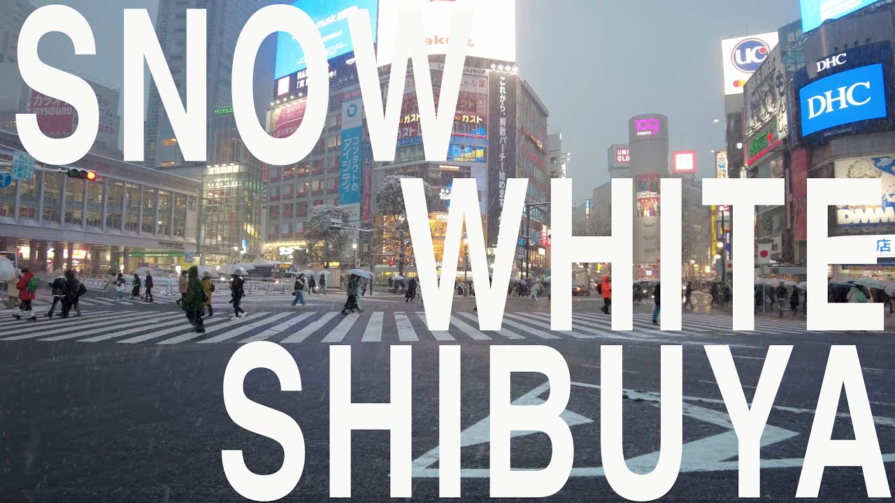 SNOW WHITE IN SHIBUYA, TOKYO, Japan. 大雪中的東京, 涉谷 (4K) - YouTube