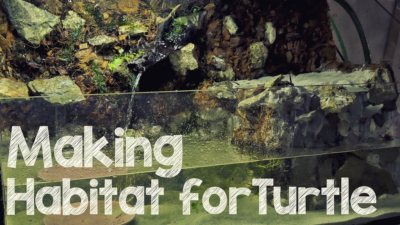 How to make AquaTerrarium for Turtle with Waterfall - YouTube