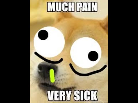 Doge is sick, oh no! (OLD) - YouTube
