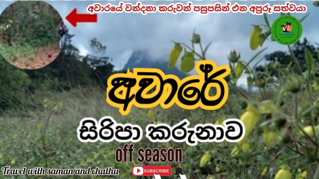 Adam's Peaks|අවාරේ සිරිපා කරුණාව - YouTube