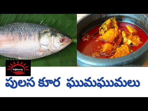 పులస కూర || pulasa curry - YouTube