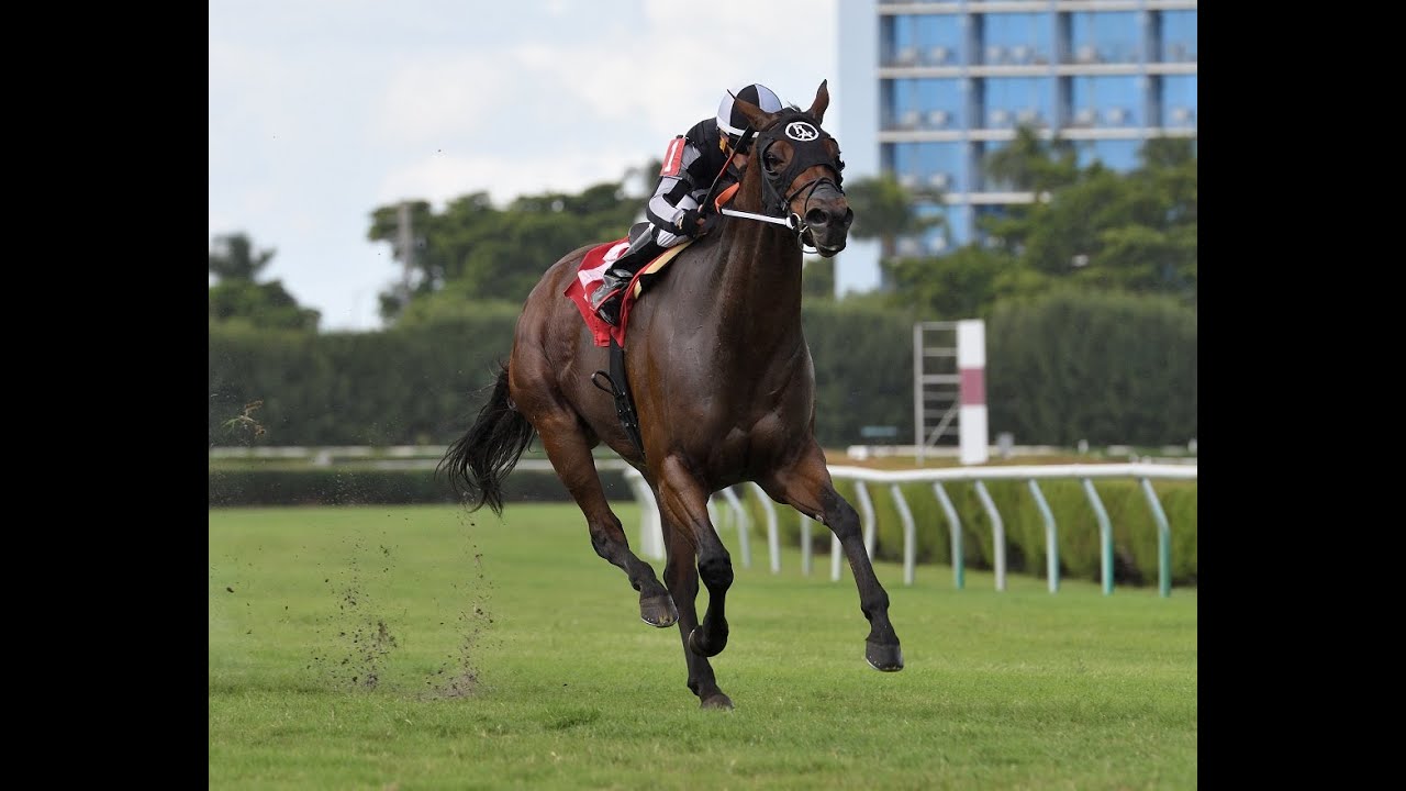 GP West Resumen - 30 de Octubre 2019 - YouTube