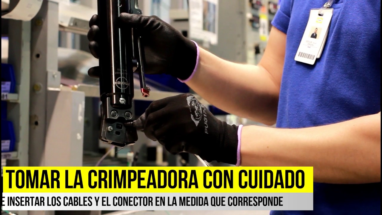 PROCESO DE CRIMPEO 2017 - YouTube