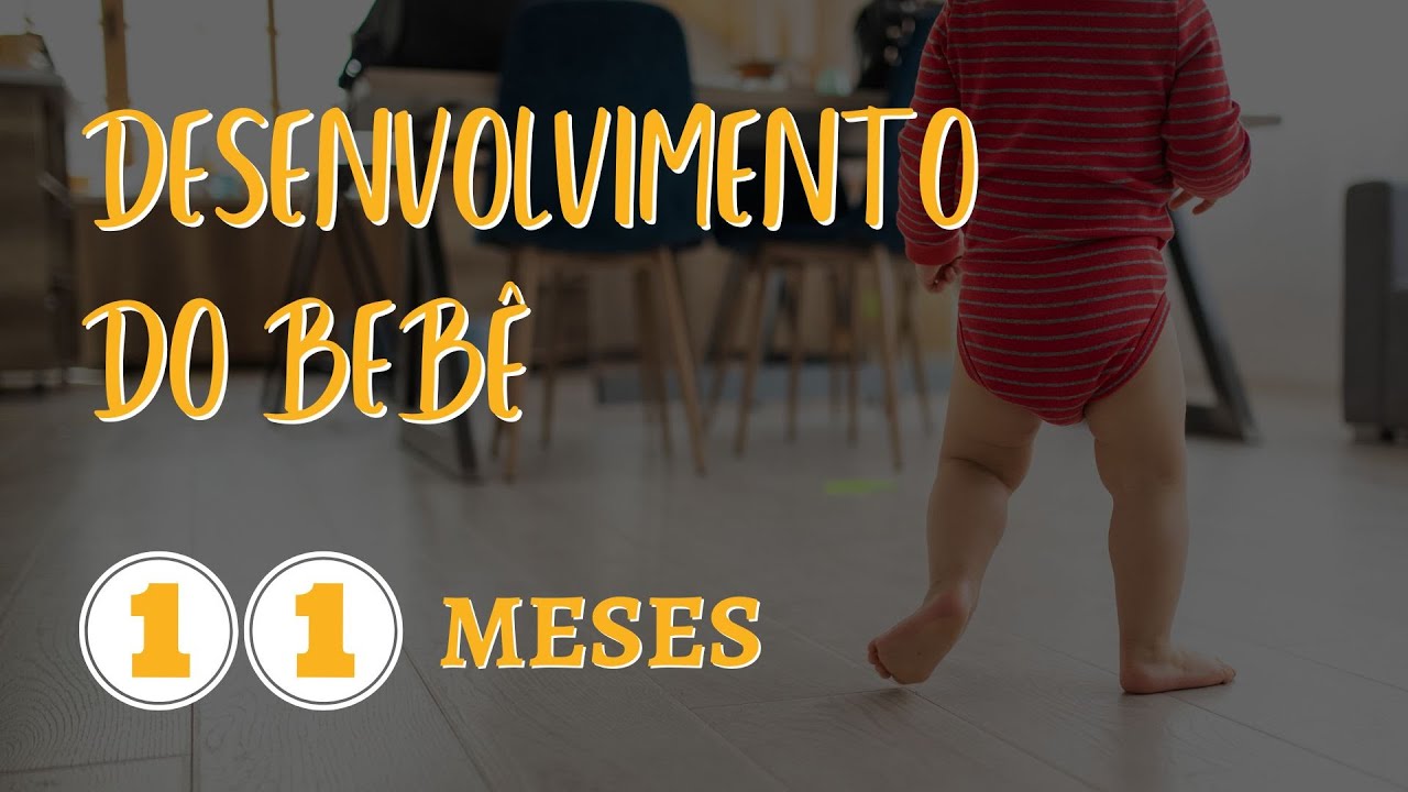 Desenvolvimento do bebê - 11 meses - YouTube