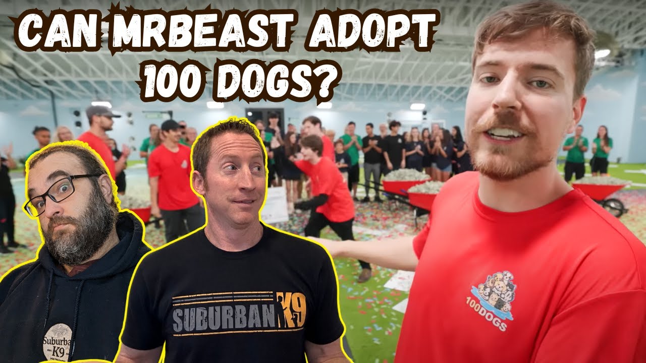 MrBeast Adopts Out 100 Dogs--DOG TRAINERS React! - YouTube