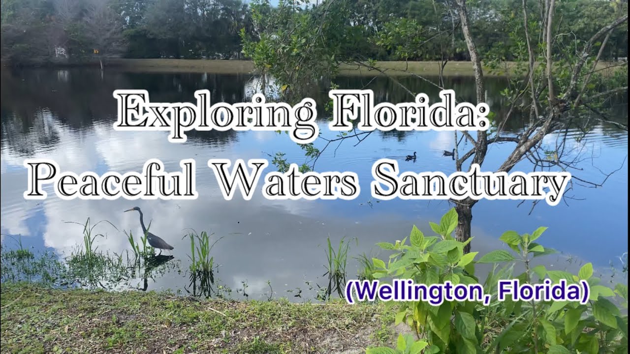 Exploring Peaceful Waters Sanctuary in Wellington, Florida (Boardwalks ...