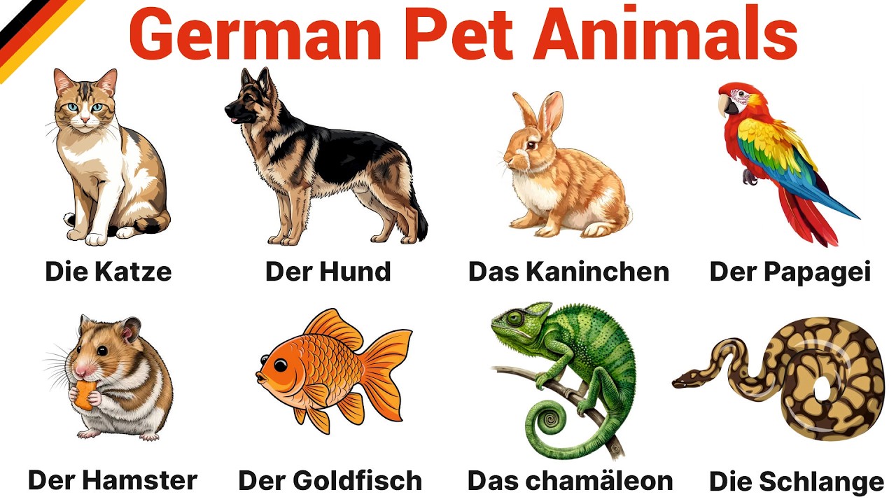 German Pet Animals | Pet Animals in German | German Animals Vocabulary ...