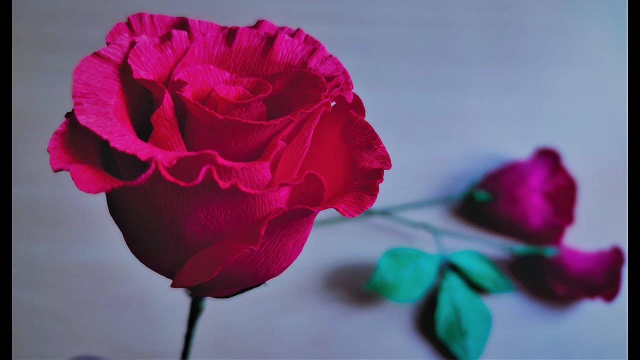 Crepe Paper Rose Tutorial YouTube Crepe Paper Rose Tutorial YouTube