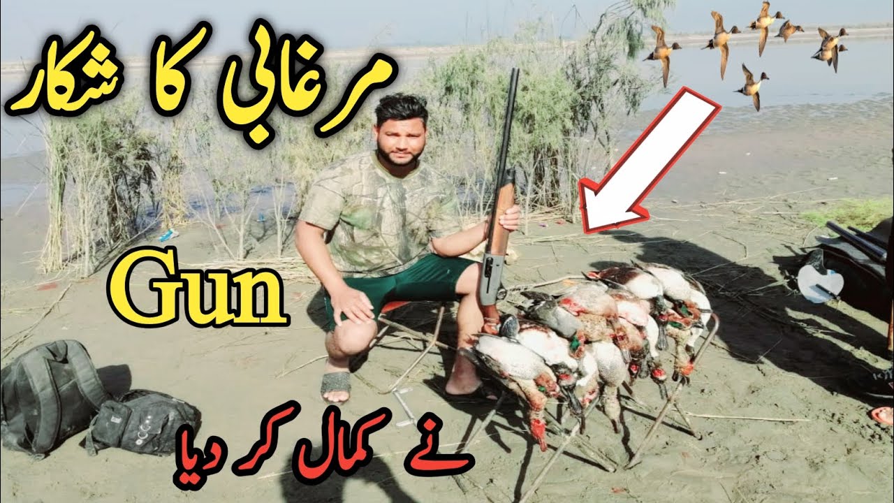 Duck hunting in Pakistan 2024|shotgun &Gopro | Murghabi ka shikar ...