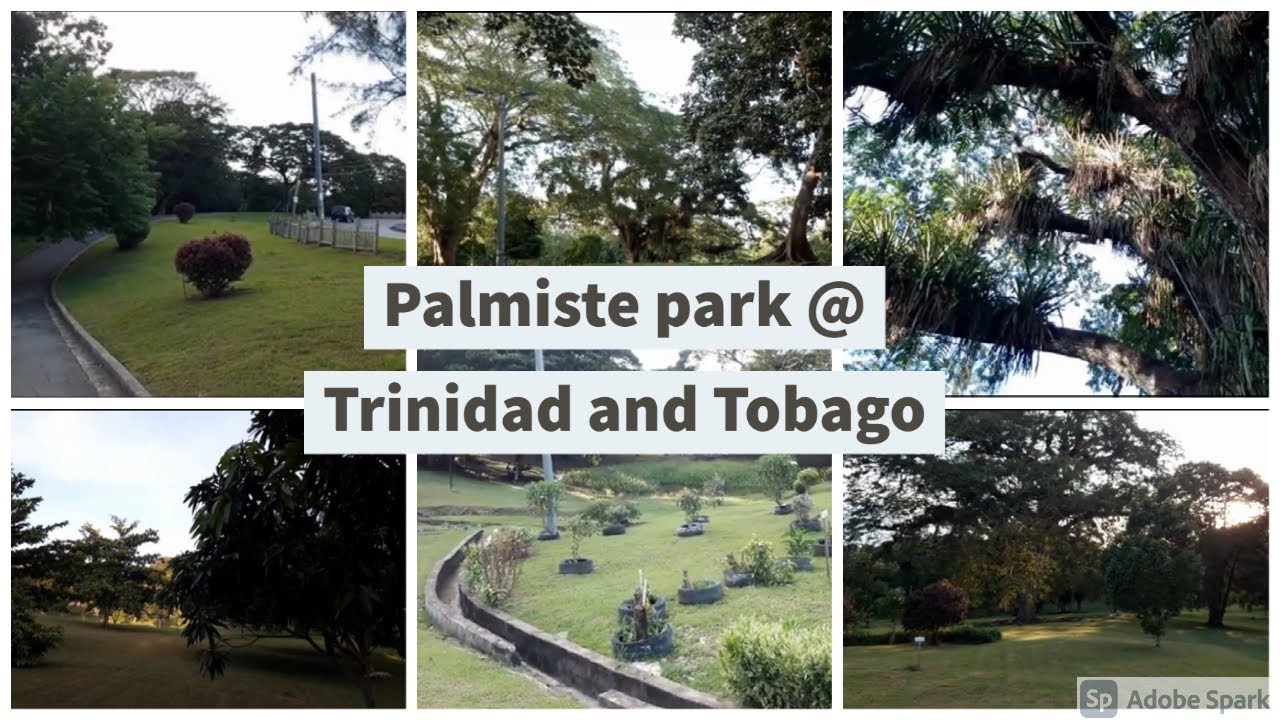 Palmiste park at Trinidad and Tobago, Penal-Debe, Phillipines ...