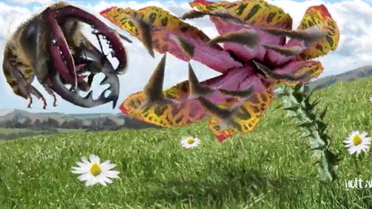 Flower Cyriak V2 In (Content Aware Scale) - YouTube