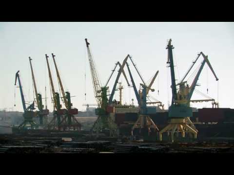 Well Oiled Machine 2016 - YouTube