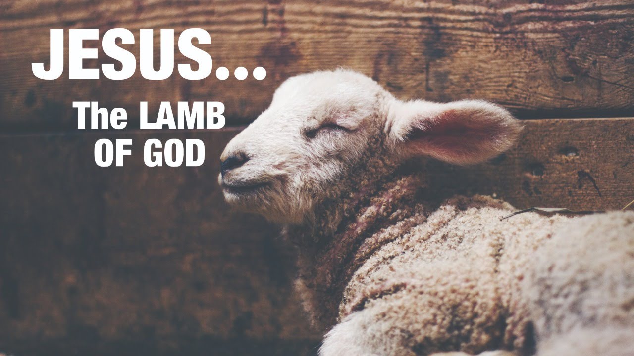BIBLE STUDY PODS: JESUS IS MY PASSOVER LAMB! - YouTube