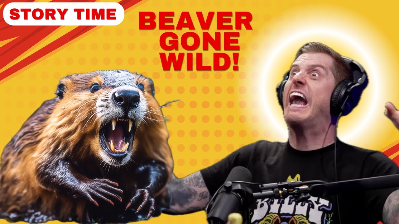 The ANGRIEST Beaver EVER! - Story Time - YouTube