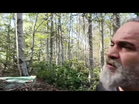 Dağların Hikayesi Orman Evi 1.Bölüm