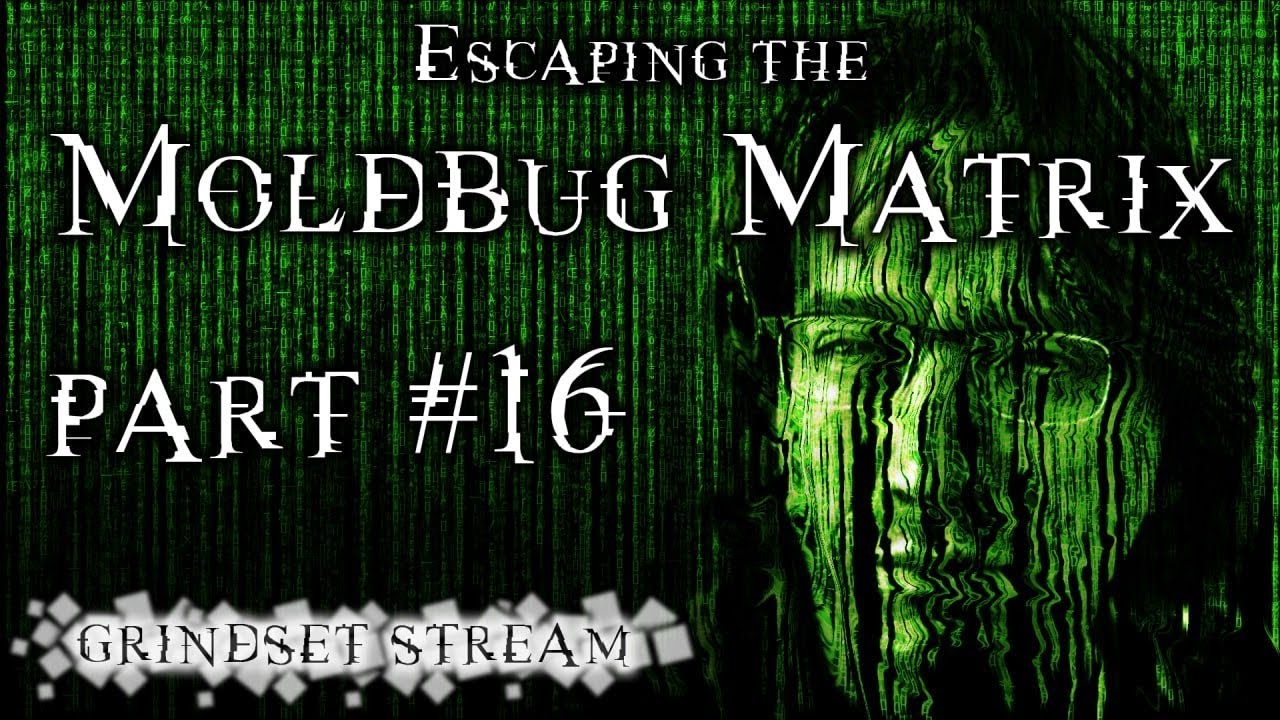 Grindset Stream Episode #16: Escaping the Moldbug Matrix Part 16 - YouTube