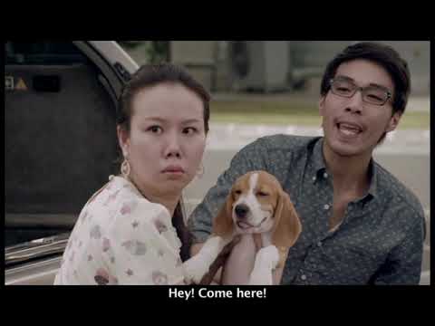 Kaidee - Dog (2010's, Thailand) - YouTube