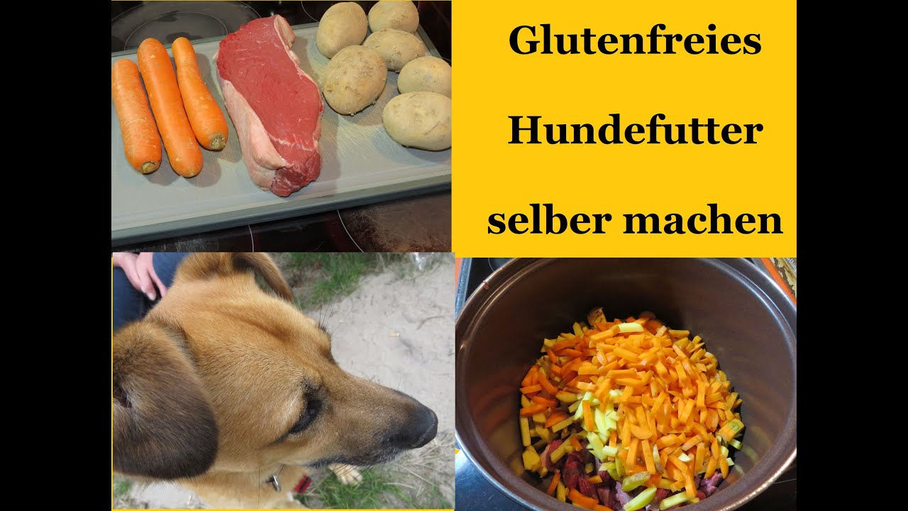 Hundefutter selber machen: mit Rindfleisch, Kartoffeln und Haferflocken ...