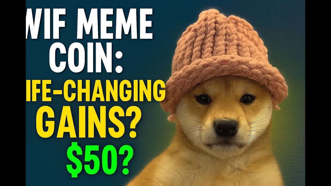 🚀 WIF Meme Coin: The Next Life-Changing Crypto?! | Massive Price ...