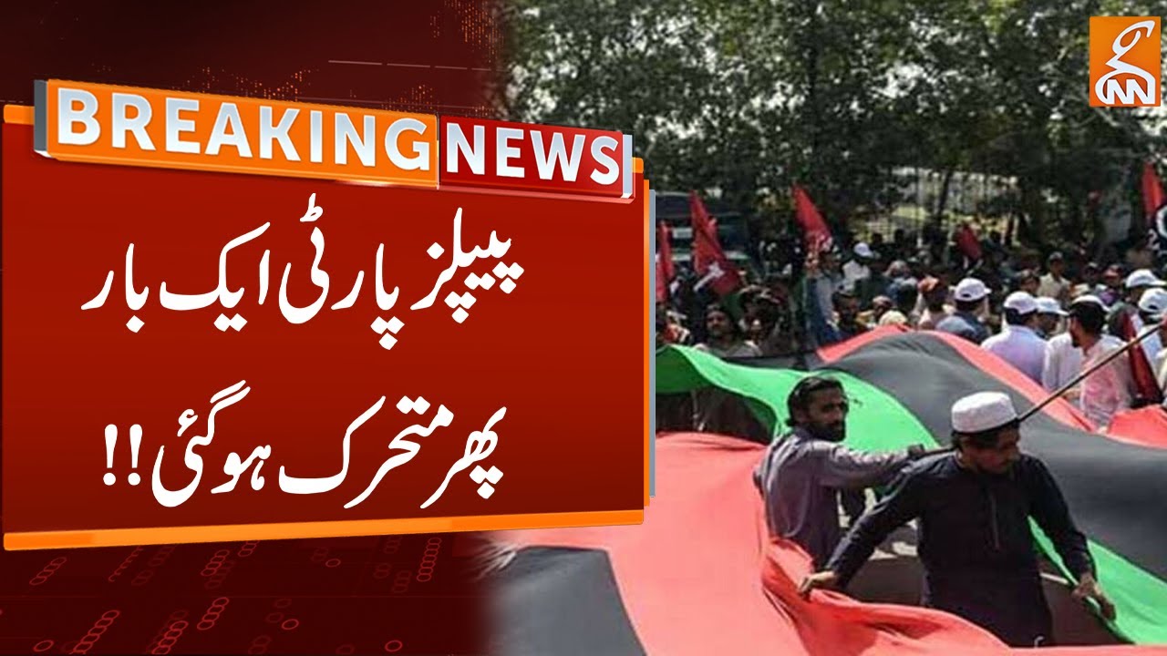 PPP Leaders On One Page For Senate Election | Breaking News | GNN - YouTube