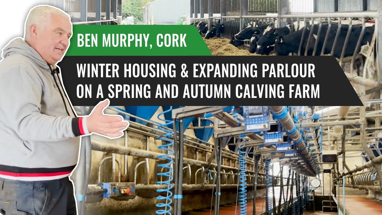 Winter Housing and Expanding Parlour on a Spring and Autumn Calving ...