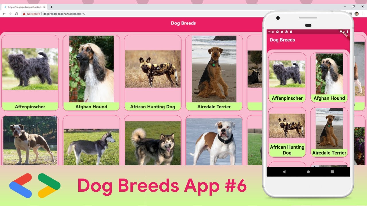 Dog Breeds App #6 - Flutter Live Coding #14 - YouTube