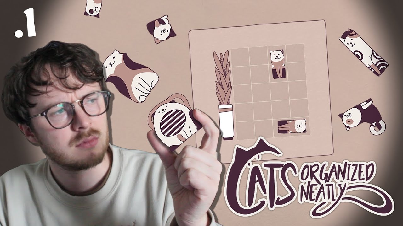 Putting Cats in Boxes | Cats Organized Neatly - YouTube