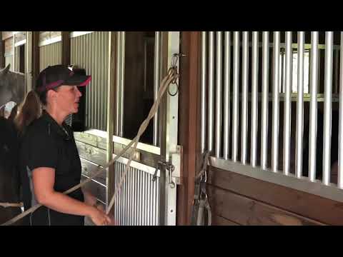 How to use a snaffle bit as a tie ring and tie your horse safely and ...