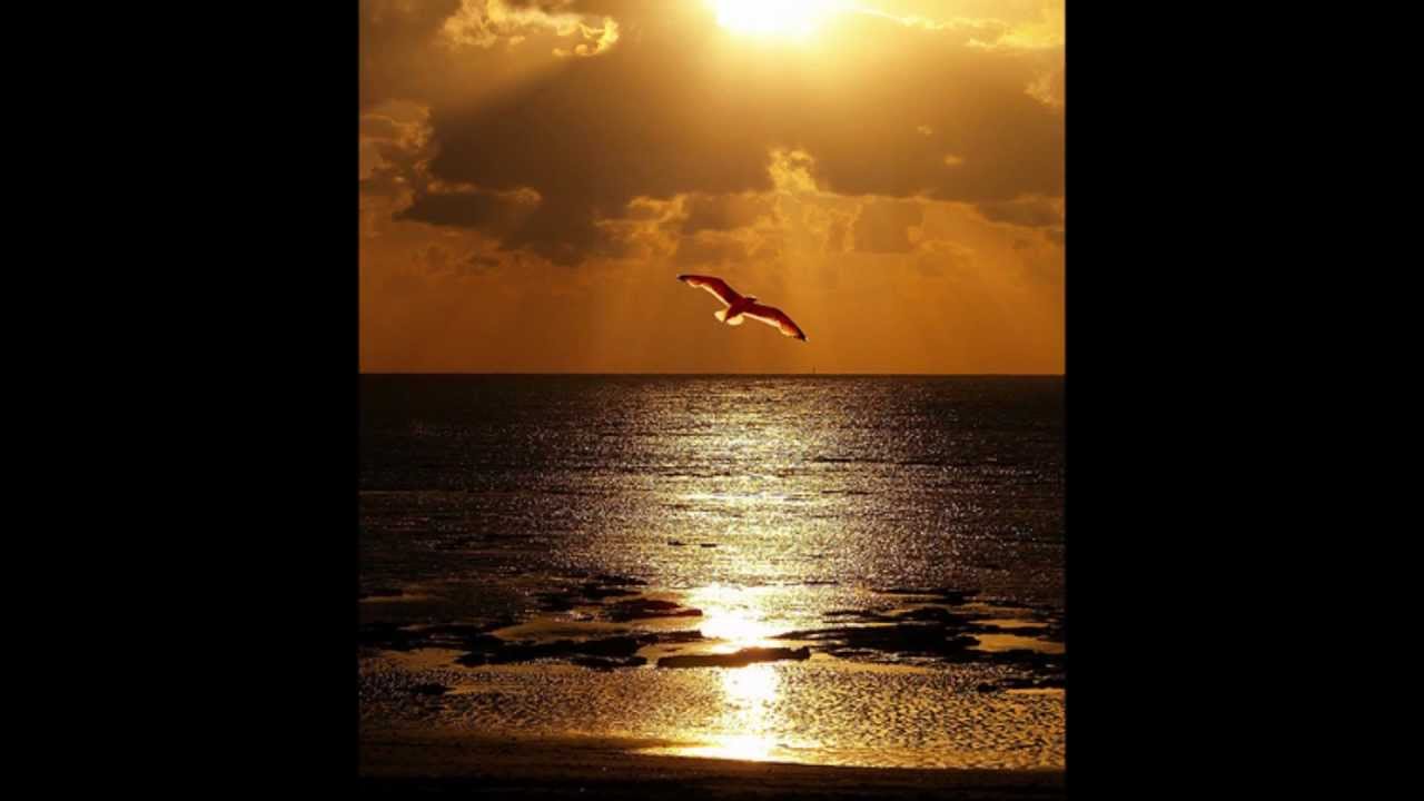 Persona Ideal- Adolescentes 'Orquesta - YouTube