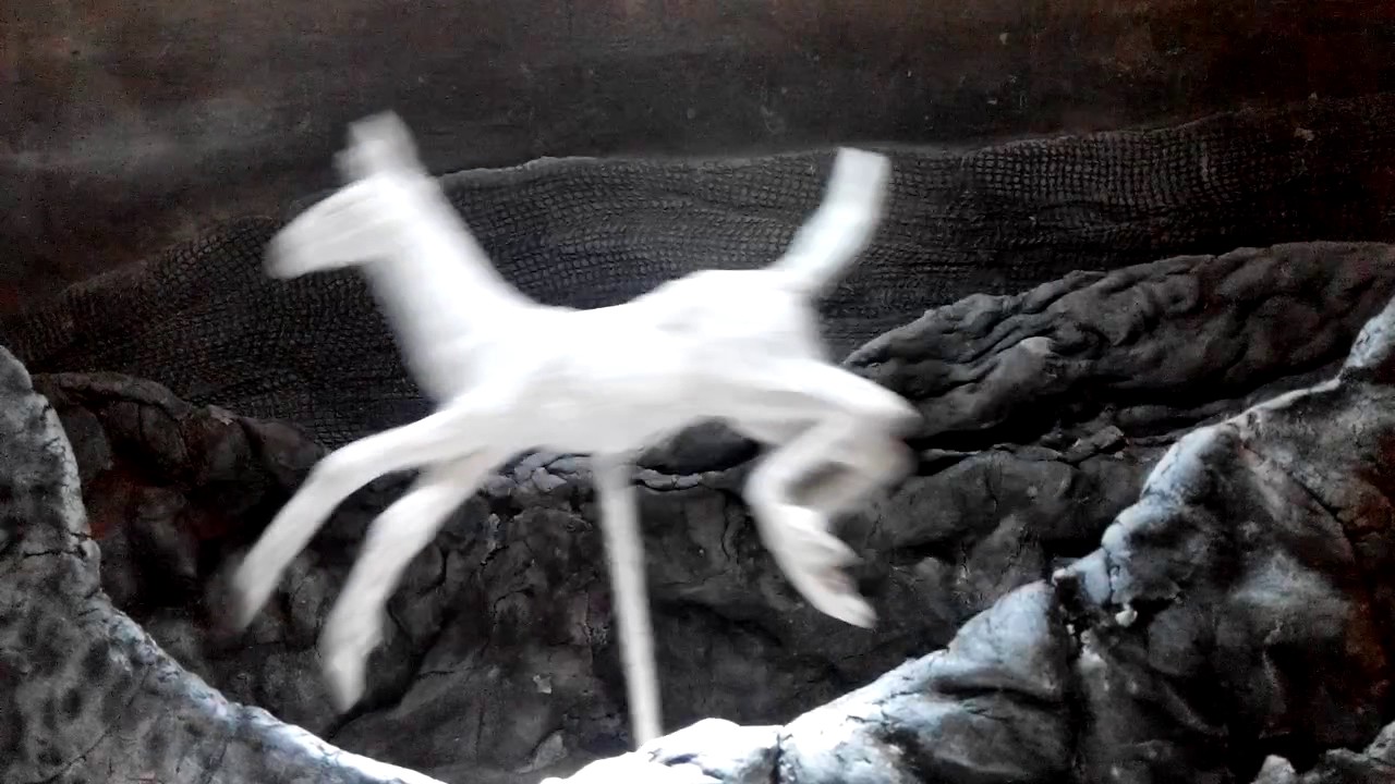 leaping doe peepbox - YouTube