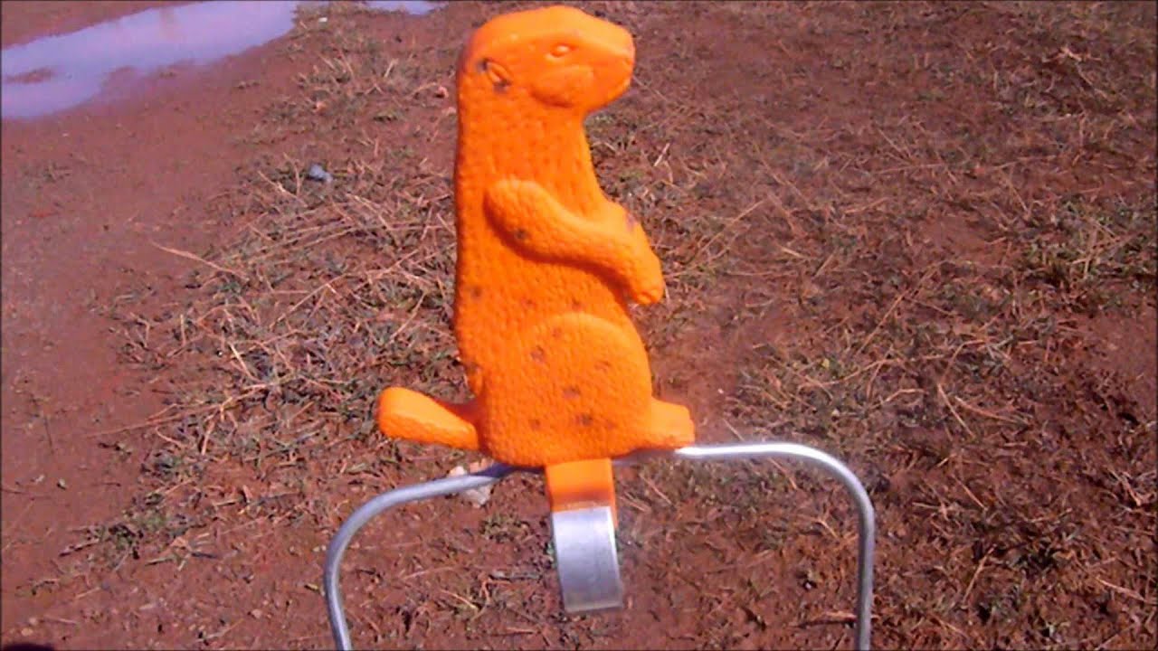 Champion Duraseal Spinner Gopher - YouTube