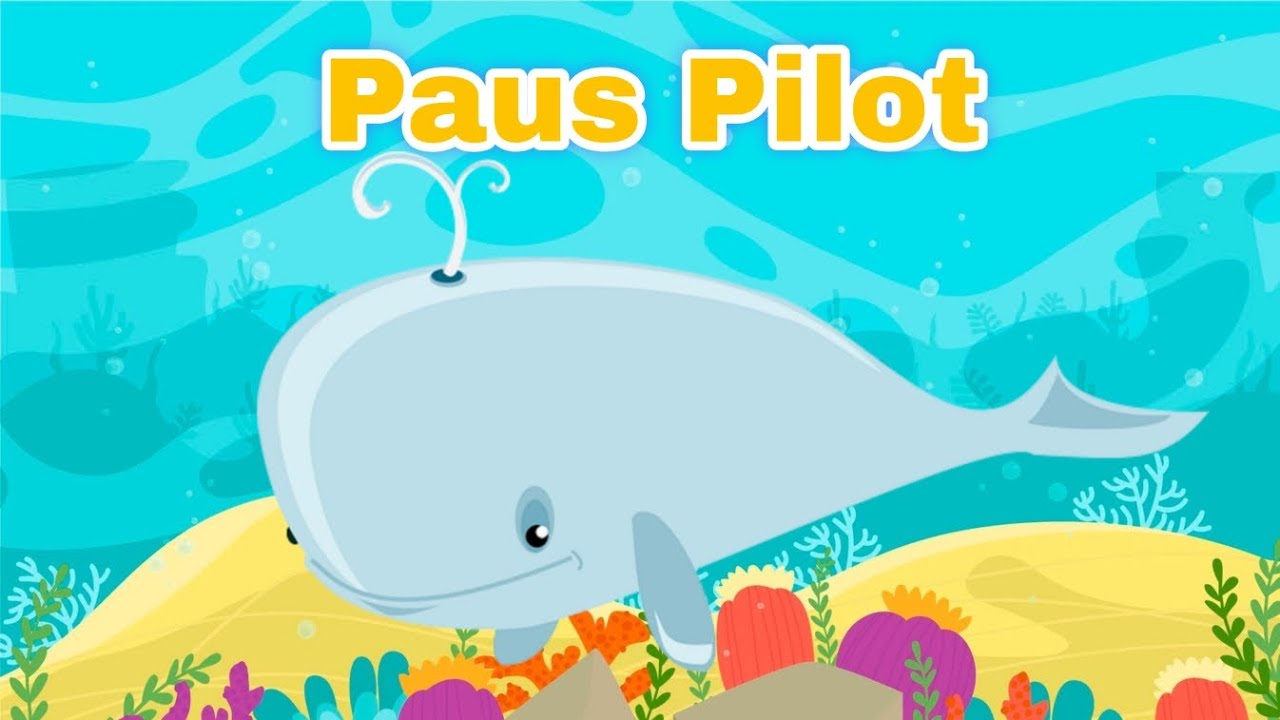 PAUS PILOT - Si Paus Sosial #ikanpaus #pauspilot #blackfish #wildlife # ...