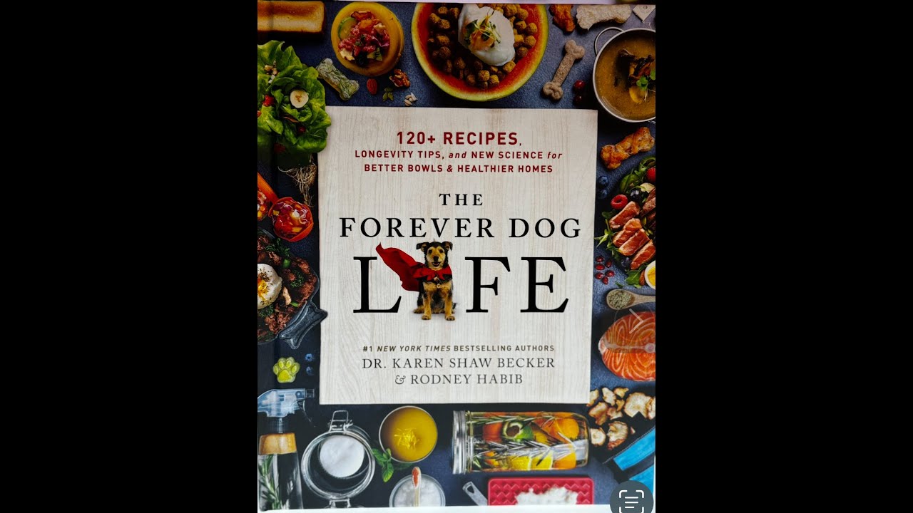 The Forever Dog LIFE review - YouTube