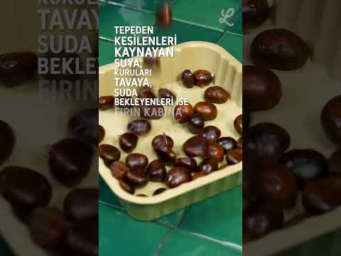 MÜKEMMEL KESTANE KEBAP