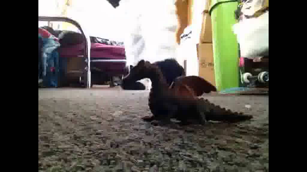 Stomp Stomp SQUISH - YouTube