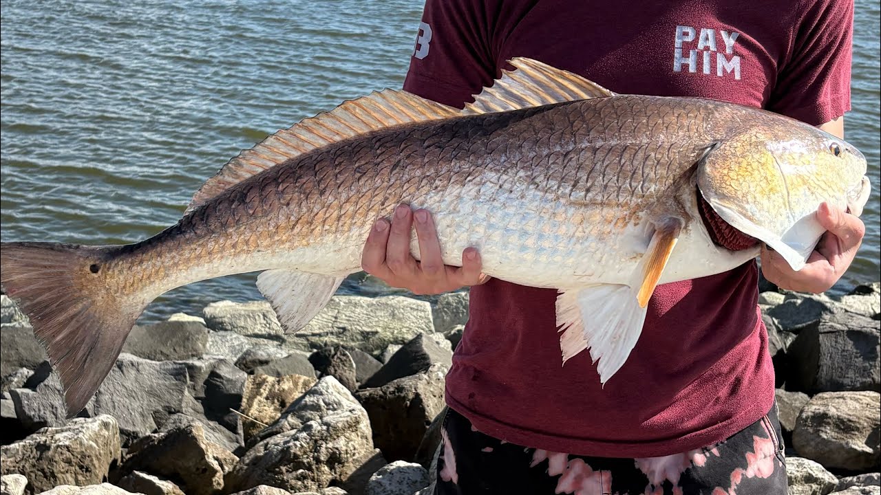 MONSTER BULL REDFISH Caught in Texas Lake!! - YouTube