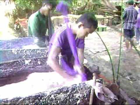 PROSES PENGOLAHAN SAGU DI NEGERI TULEHU PULAU AMBON - YouTube