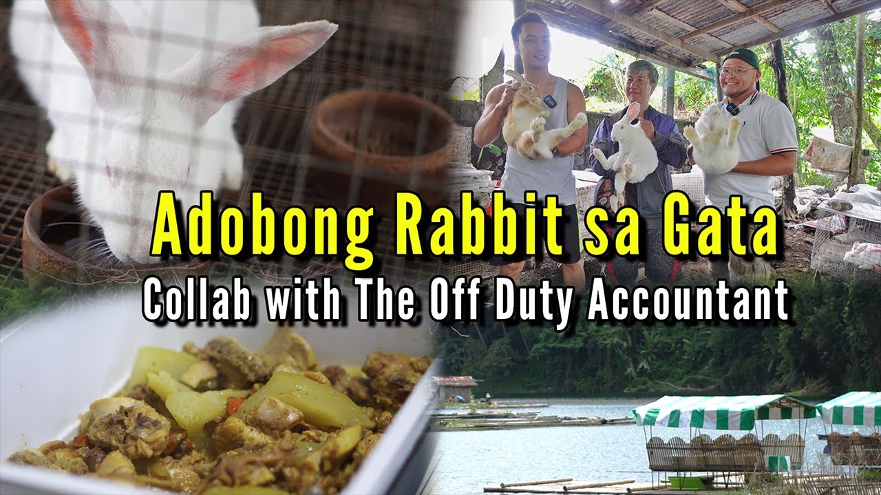 Adobong Rabbit sa Gata - Pag Aalaga ng Rabbit - Collaboration Episode ...