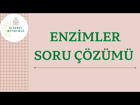 ENZİMLER SORU ÇÖZÜMÜ #enzimler #enzimlersoruçözümü
