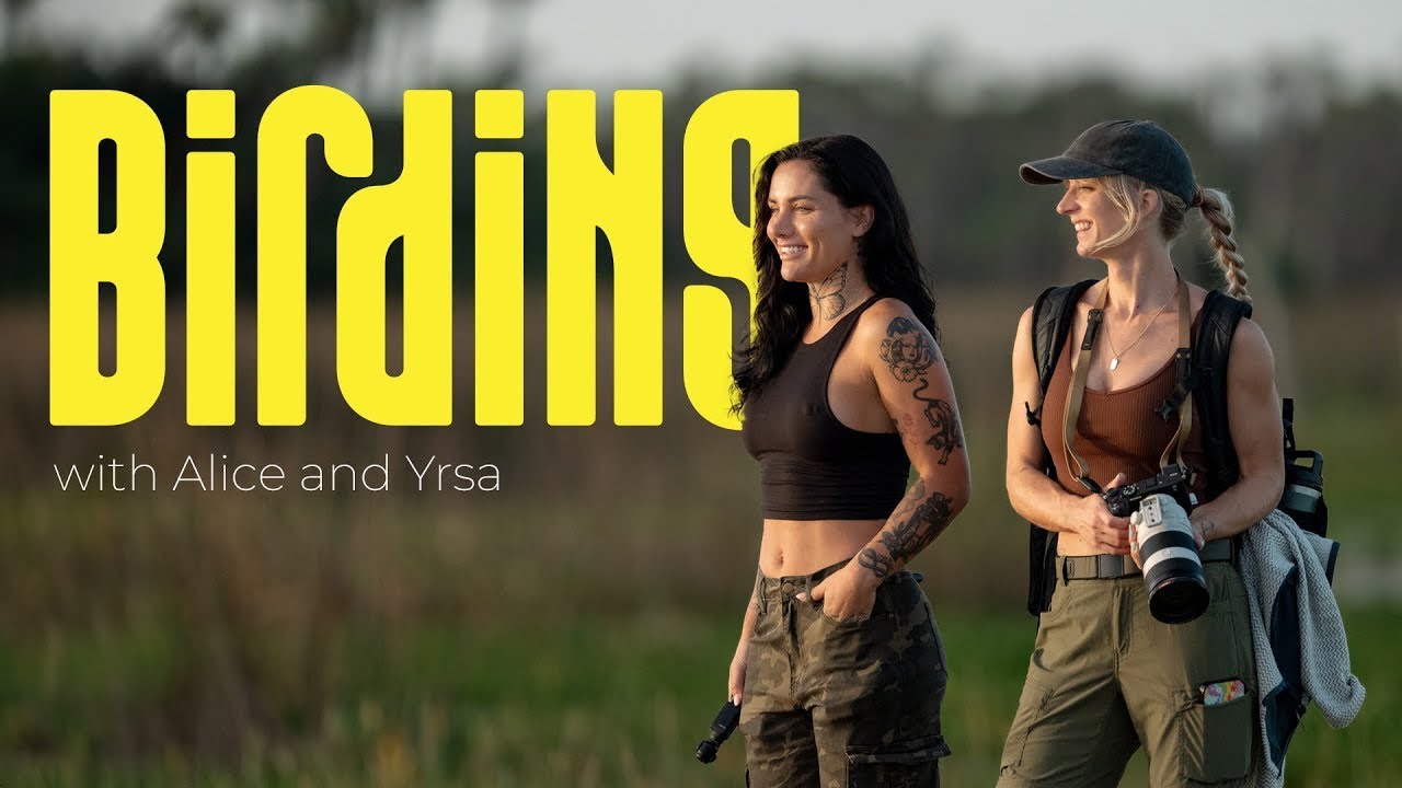 FLORIDA WETLANDS WITH YRSA CLICKS - YouTube