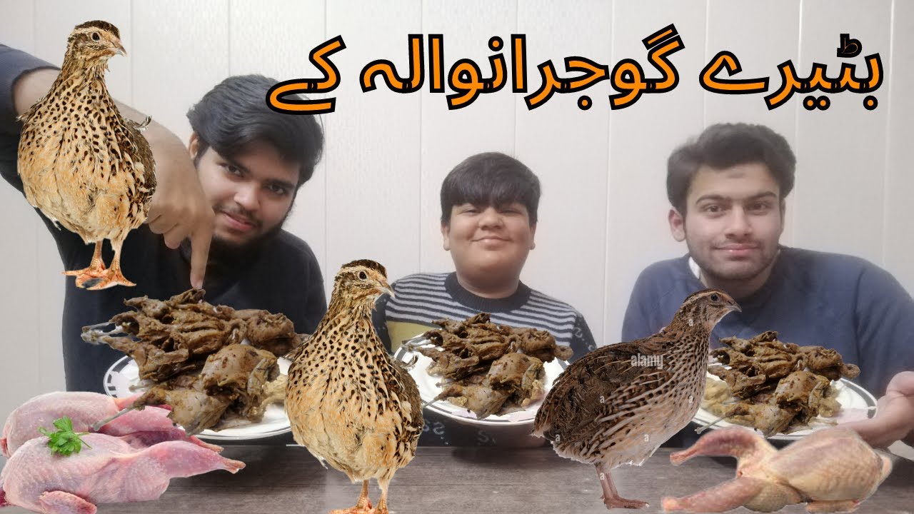 QUAILS / GUJRANWALA KI SUGHAT BATARAY | Eating Challenge | Food ...