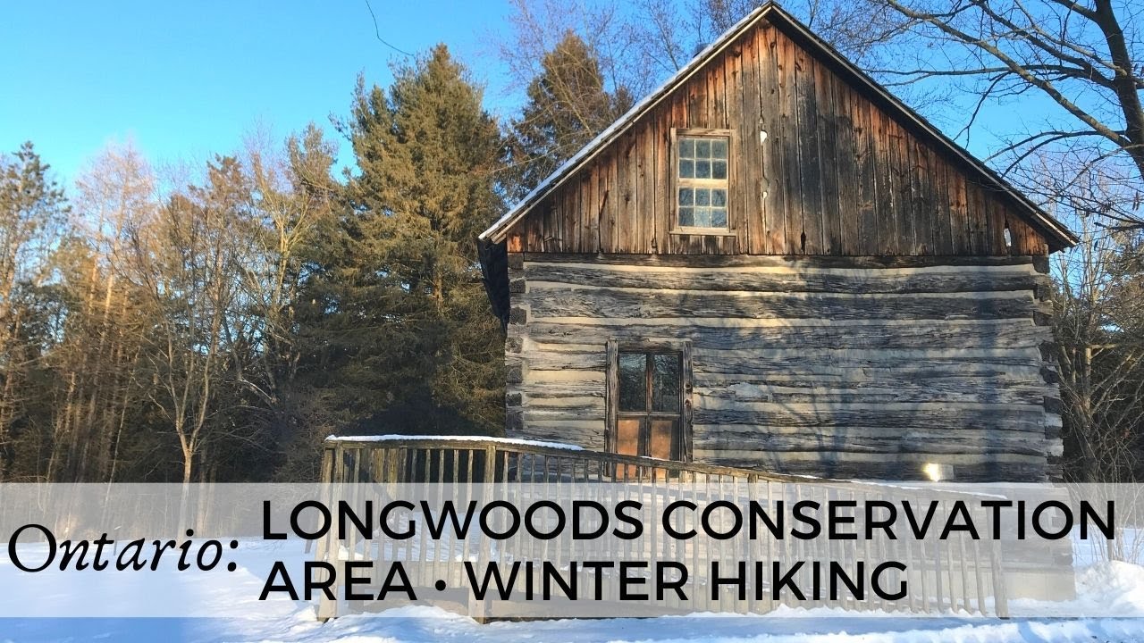 Longwoods Conservation Area • Winter Hiking near London, ON - YouTube