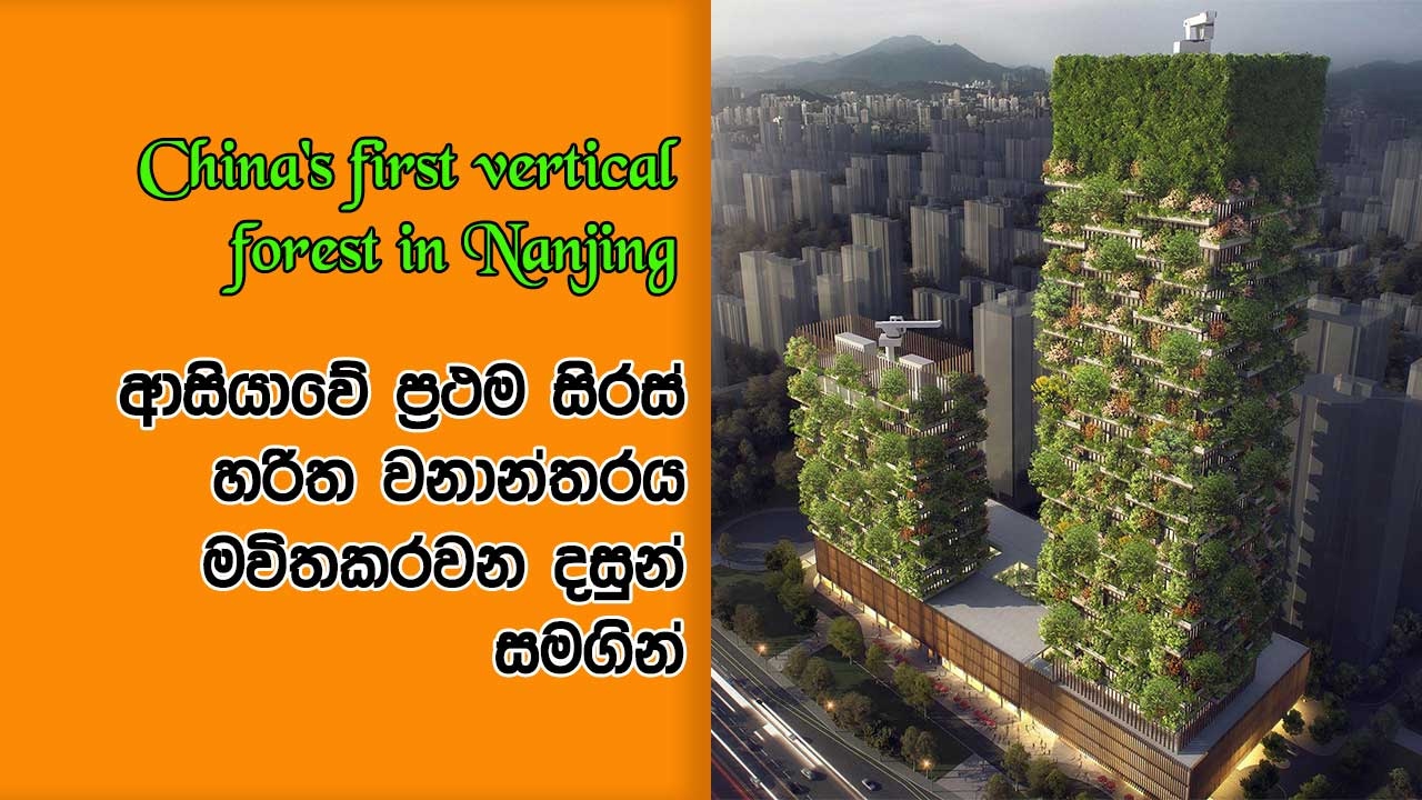 China's first vertical forest in Nanjing - YouTube