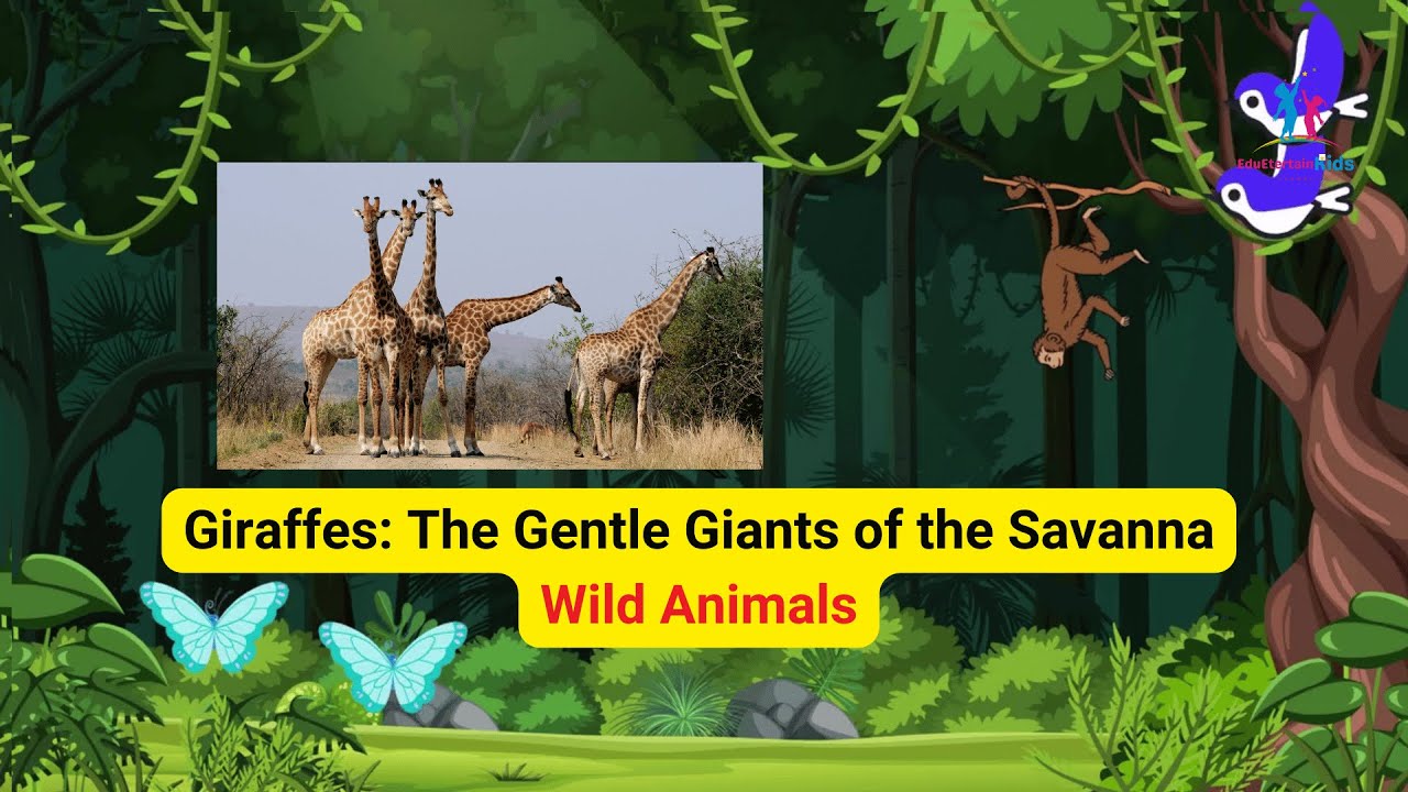 Giraffes: The Gentle Giants of the Savanna| Wild Animals - YouTube