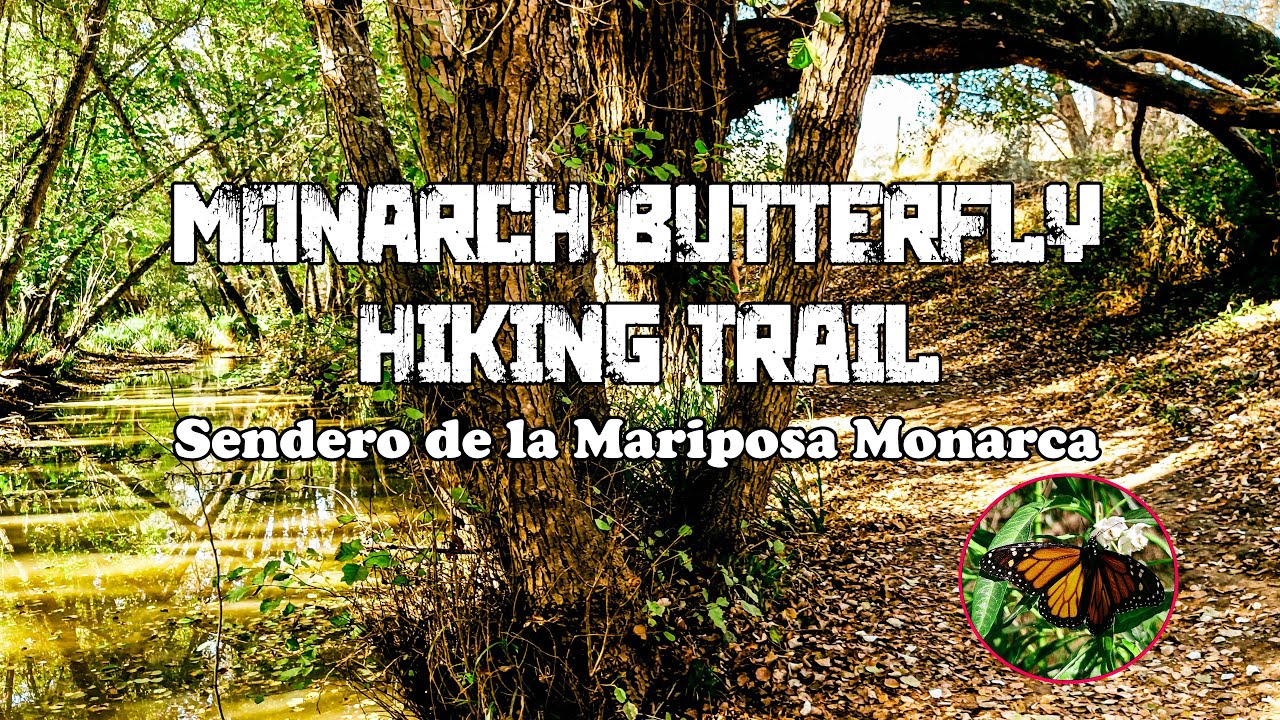 An Amazing Hiking Trails in Natural Monarch Butterfly Park, Spain ...