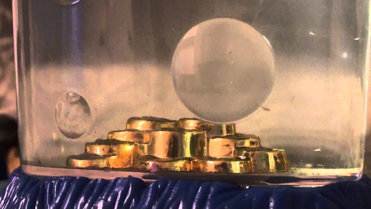 Baby Sea Monkeys 6 days old - YouTube