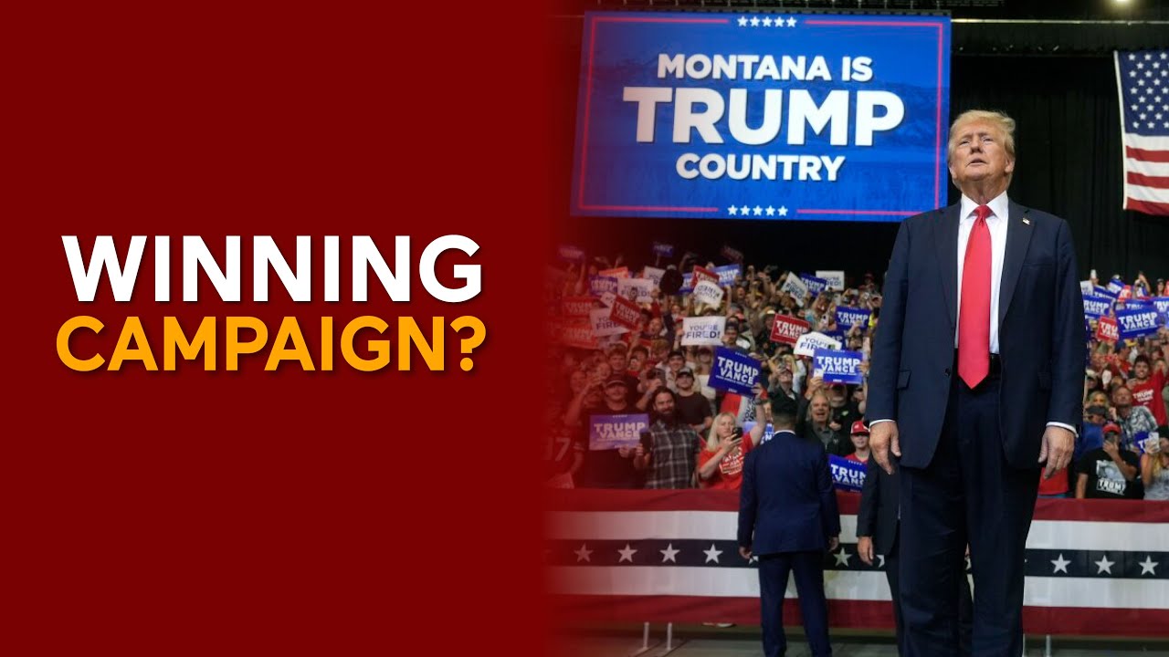 US elections: Campaigns' strengths and weaknesses - YouTube