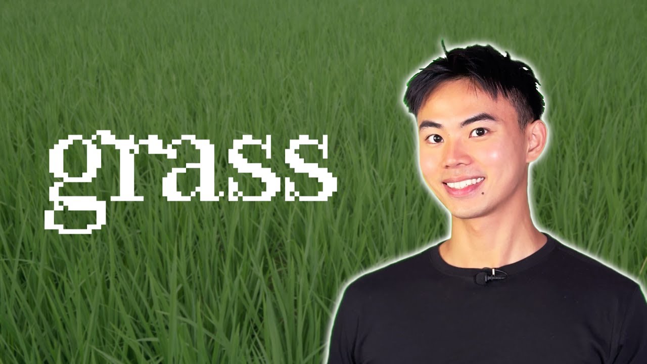 Learn Chinese Vocab with Radical: 草 (grass) 🍃 - YouTube