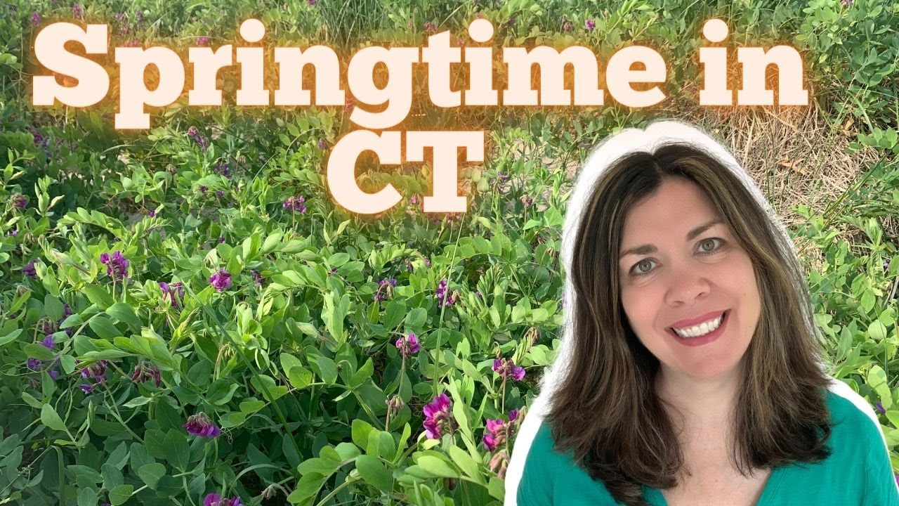 Ever Wonder What Springtime is like in Connecticut? Watch My Video to ...