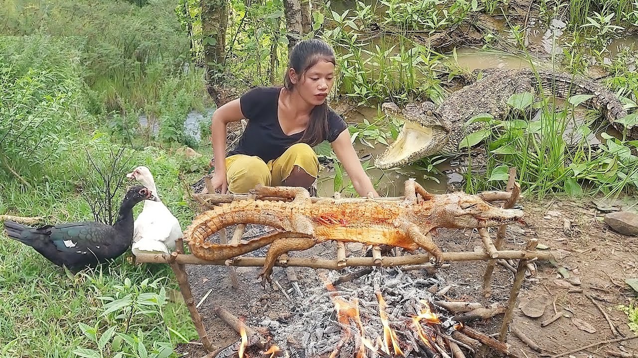 Catch crocodile in the lake for survival food, Spicy crocodile grilled for dinner, Top 5 ...
